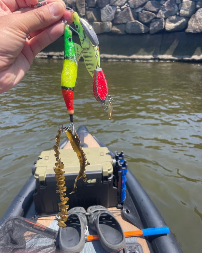 梅雨の合間のSUP FISHING🎣 | GOOD OPEN AIRS myX