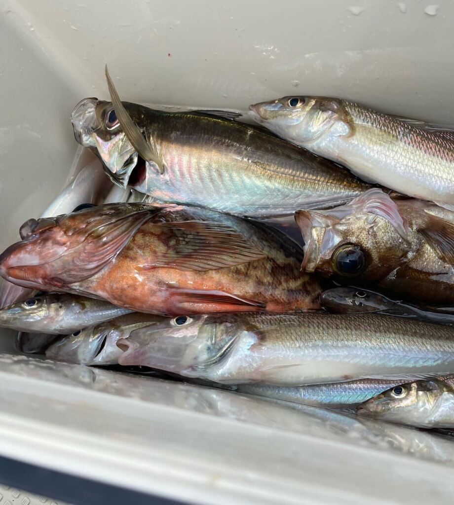 myX釣行会 With Sunny Fishing Guide Service では | GOOD OPEN AIRS myX