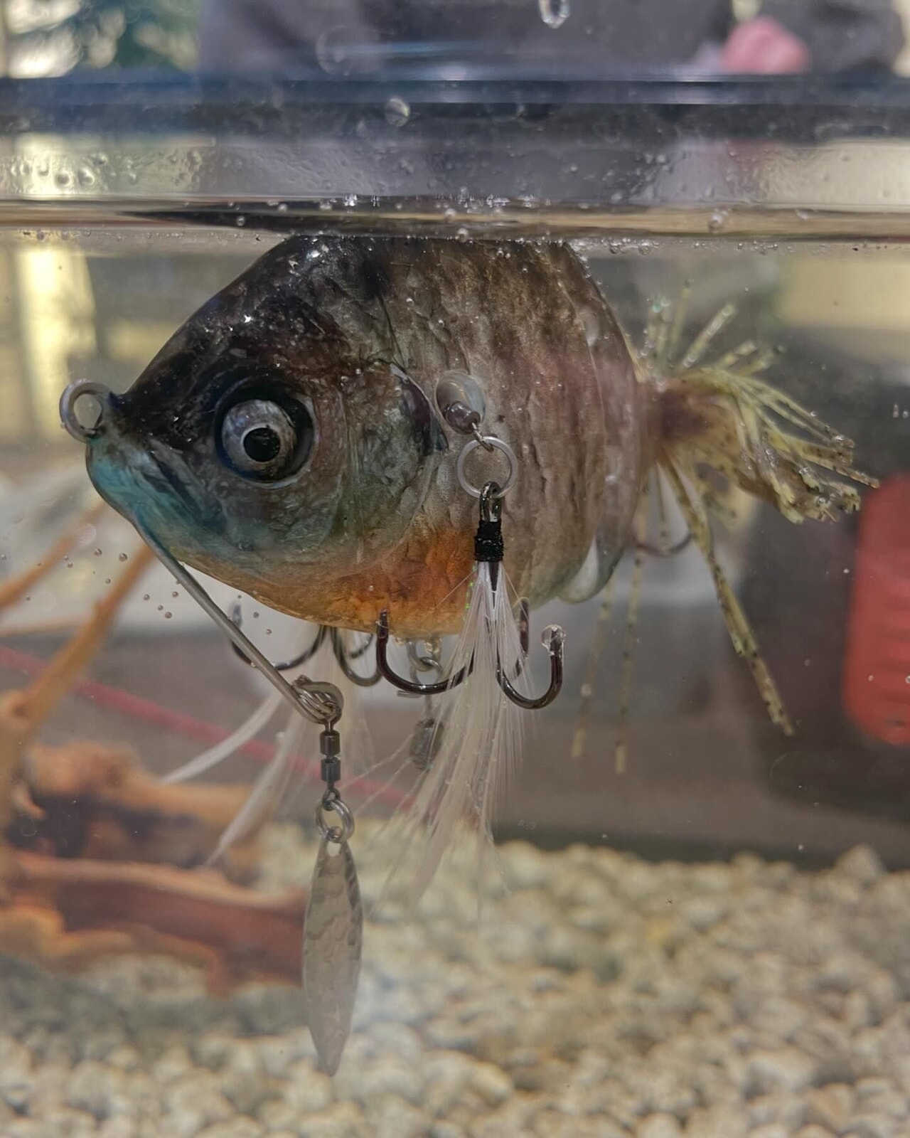 myX FISHING SHOW 2024 | GOOD OPEN AIRS myX