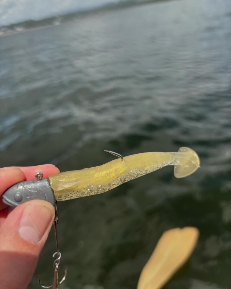 SUP FISHING | GOOD OPEN AIRS myX