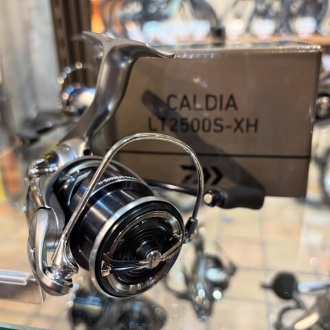 New CALDIA シリーズ 入荷！ | GOOD OPEN AIRS myX